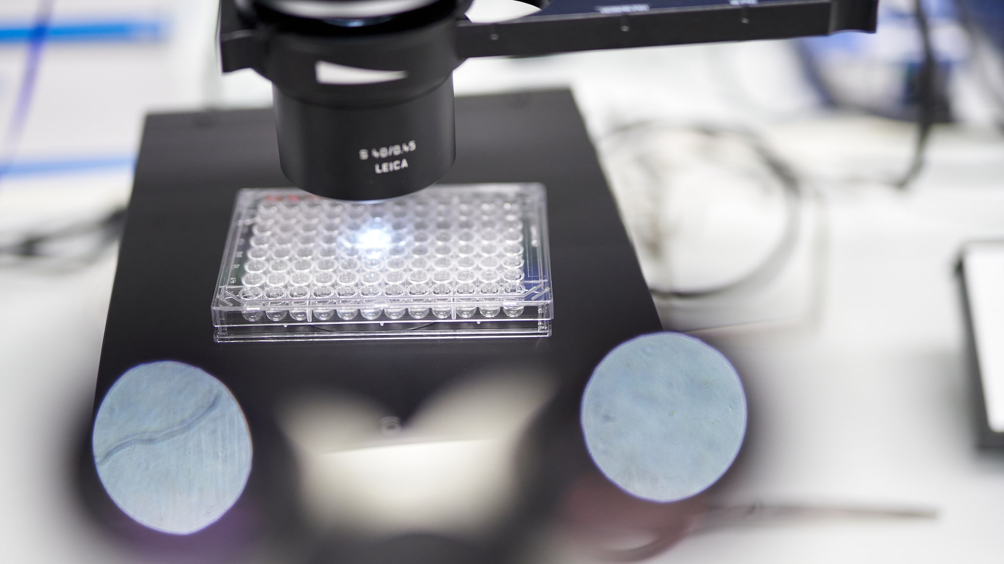 CASI for Small Molecules | EPA ENTACT Workshop | PMI Science