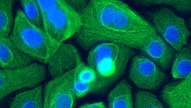 Scientific Update 10 references