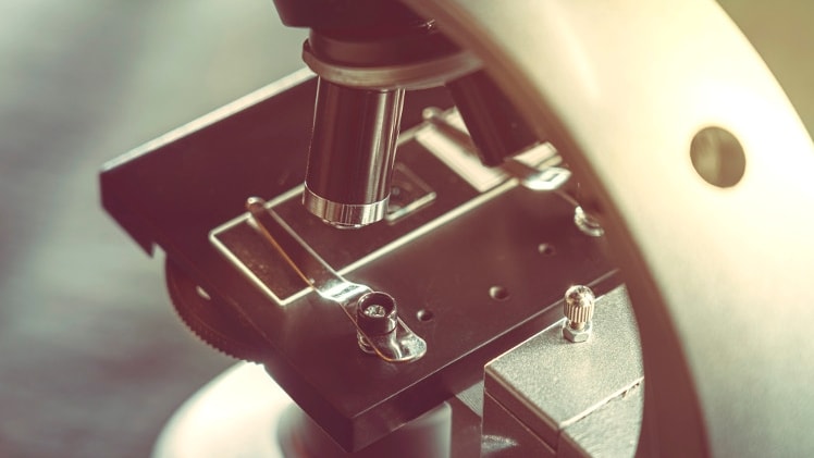 Importance of Science-Based Decisions | PMI Science